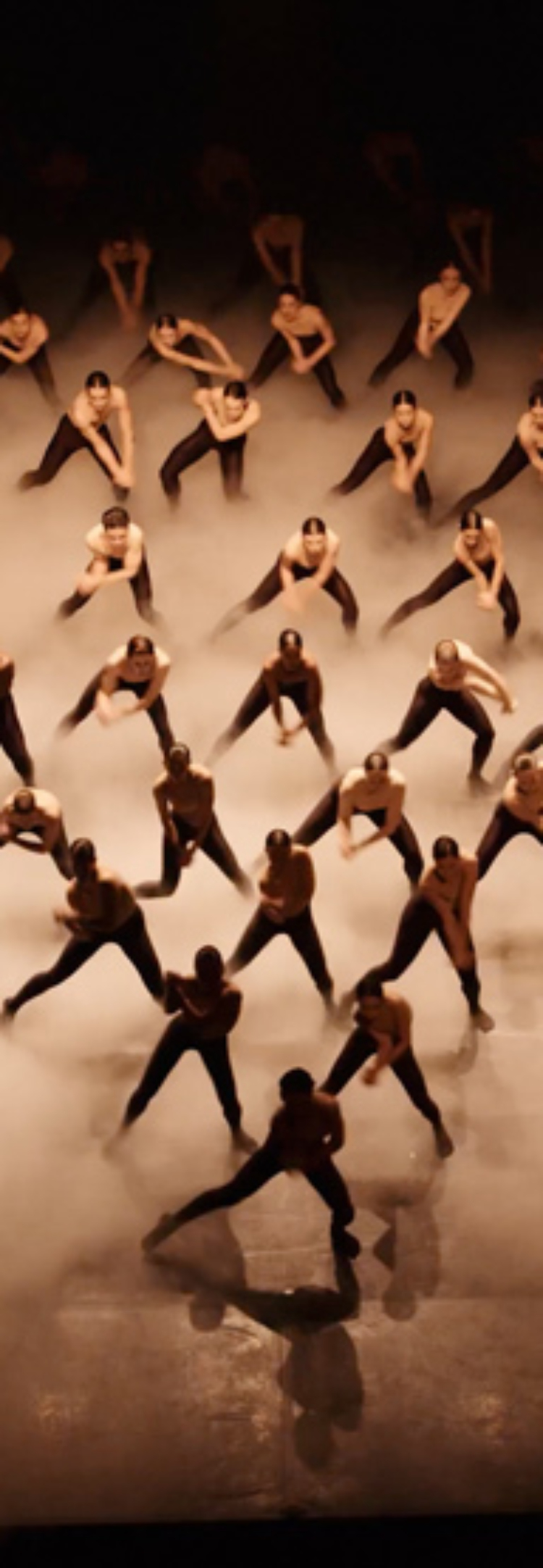 Ballet BC - BOLERO X + Silent Tides + Chamber | Danse Danse