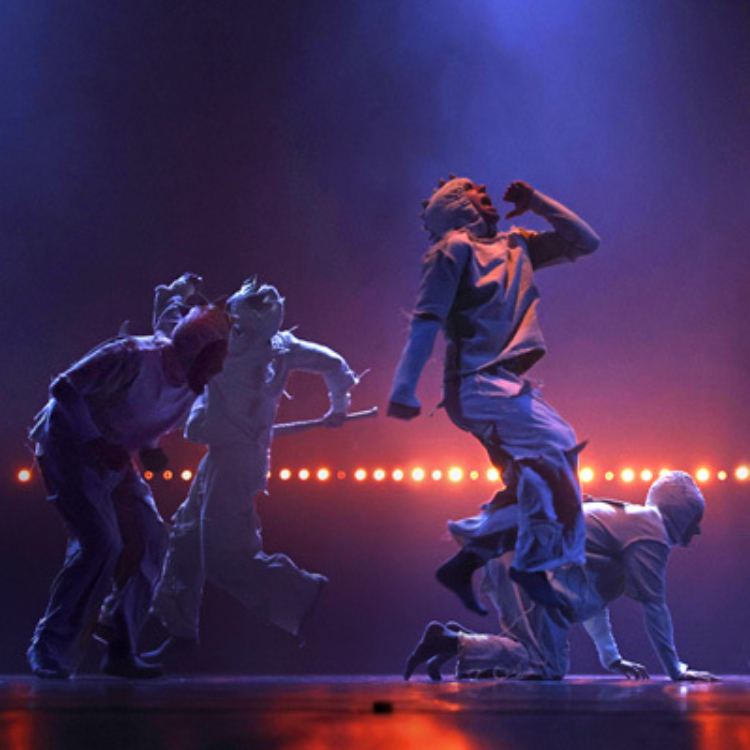 Danse Danse | Contemporary dance performances