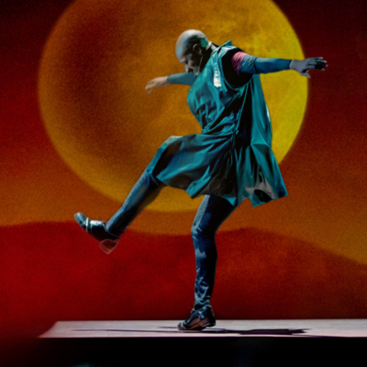 Danse Danse | Contemporary dance performances